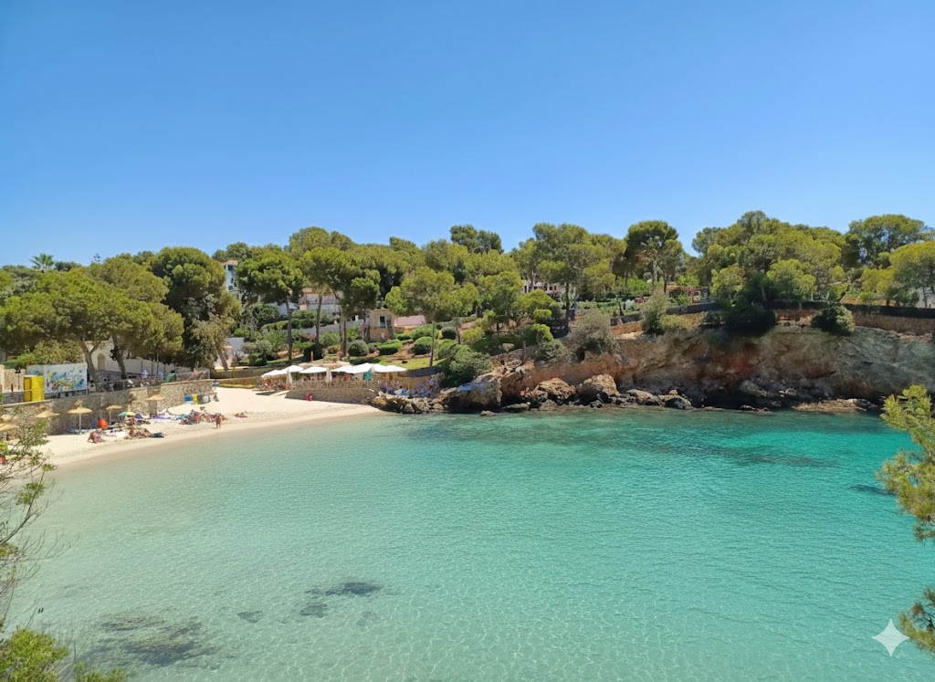 Playa | Cala Portals Nous - Playas de Mallorca | MallorCard