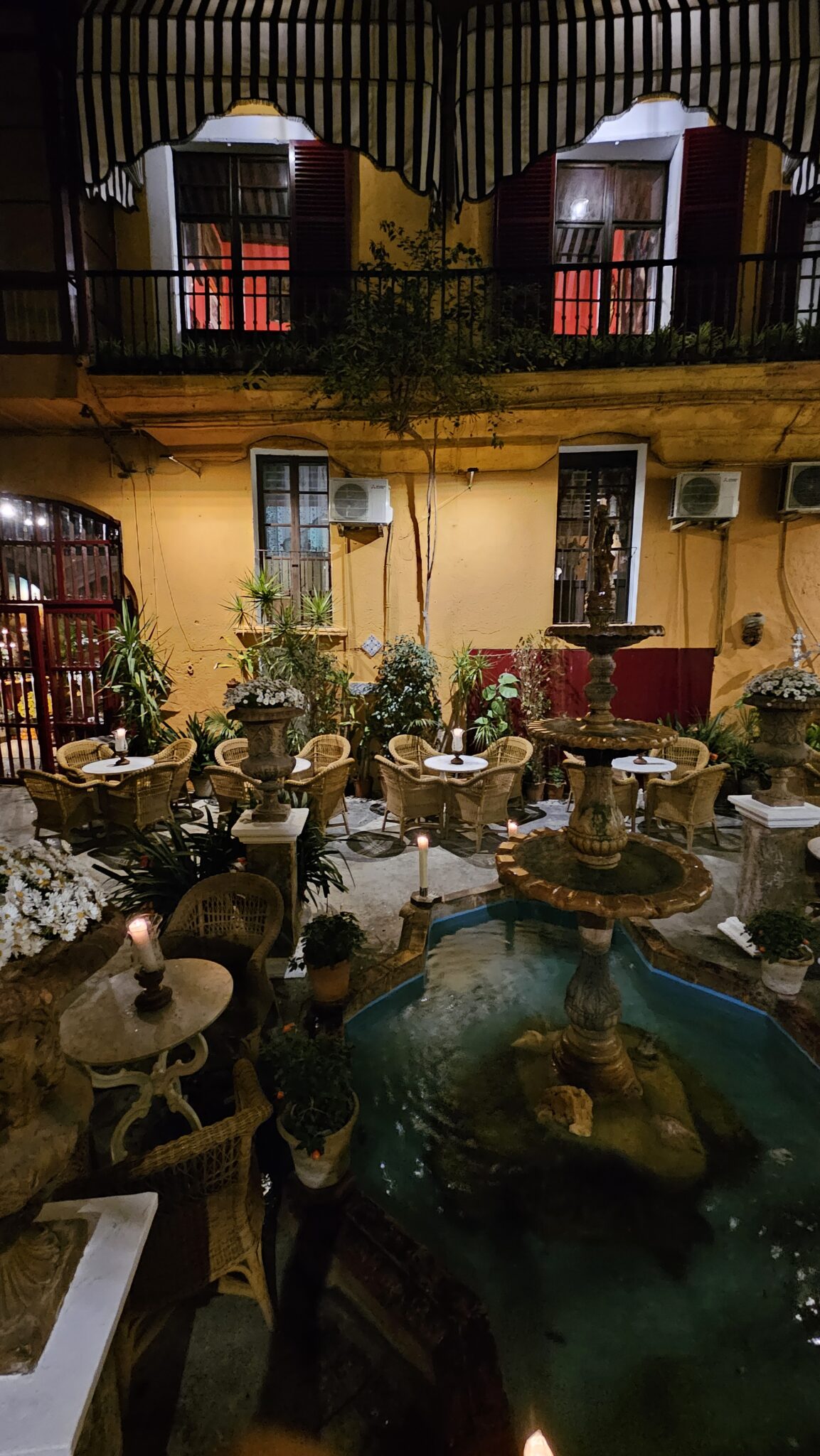 Bar Ábaco in Palma de Mallorca – An Experience Like No Other - Mallorca ...